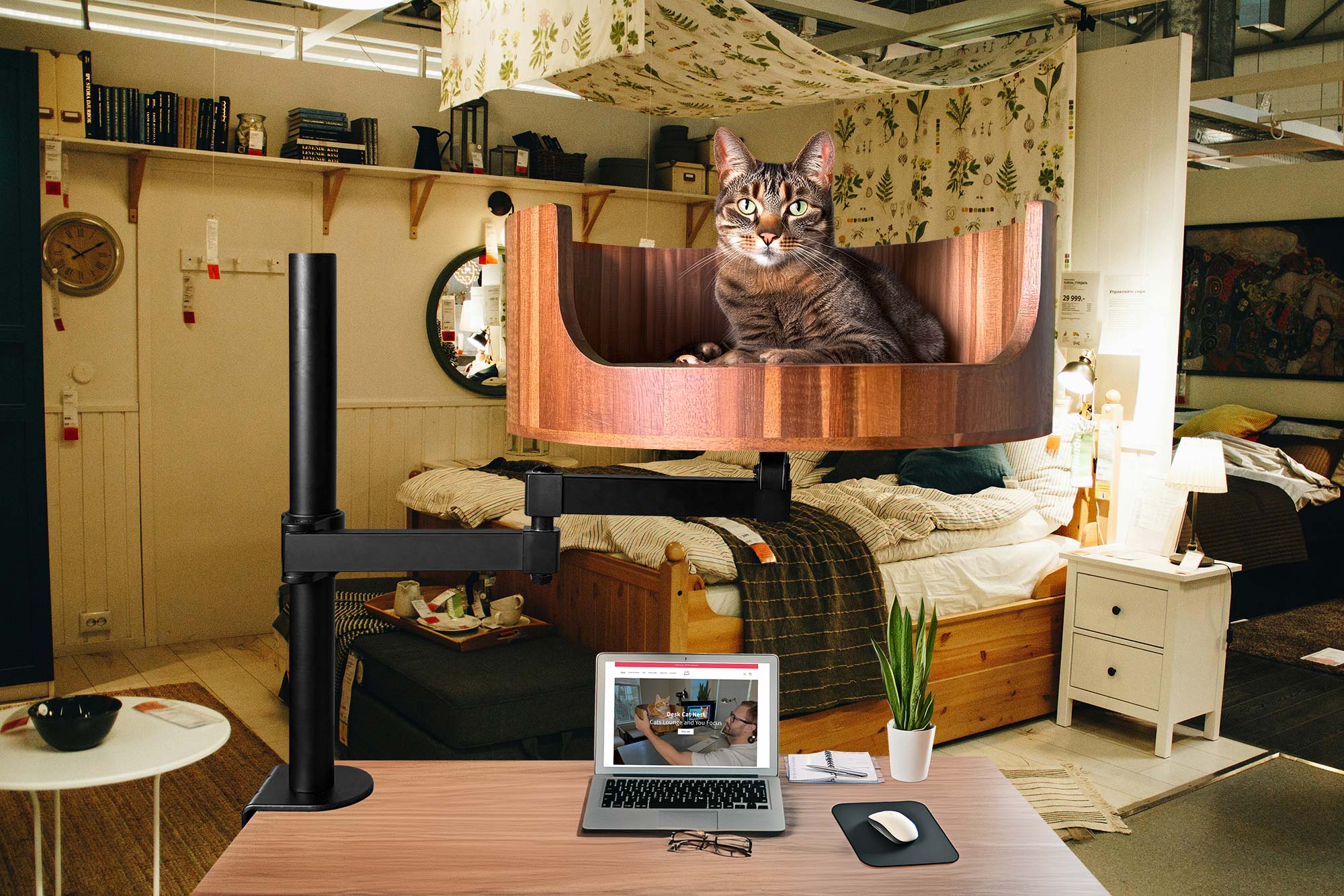 Why Does My Cat Howl: Understanding Feline Behavior – Desk Cat Nest Why Does My Cat Howl: Understanding Feline Behavior – Desk Cat Nest