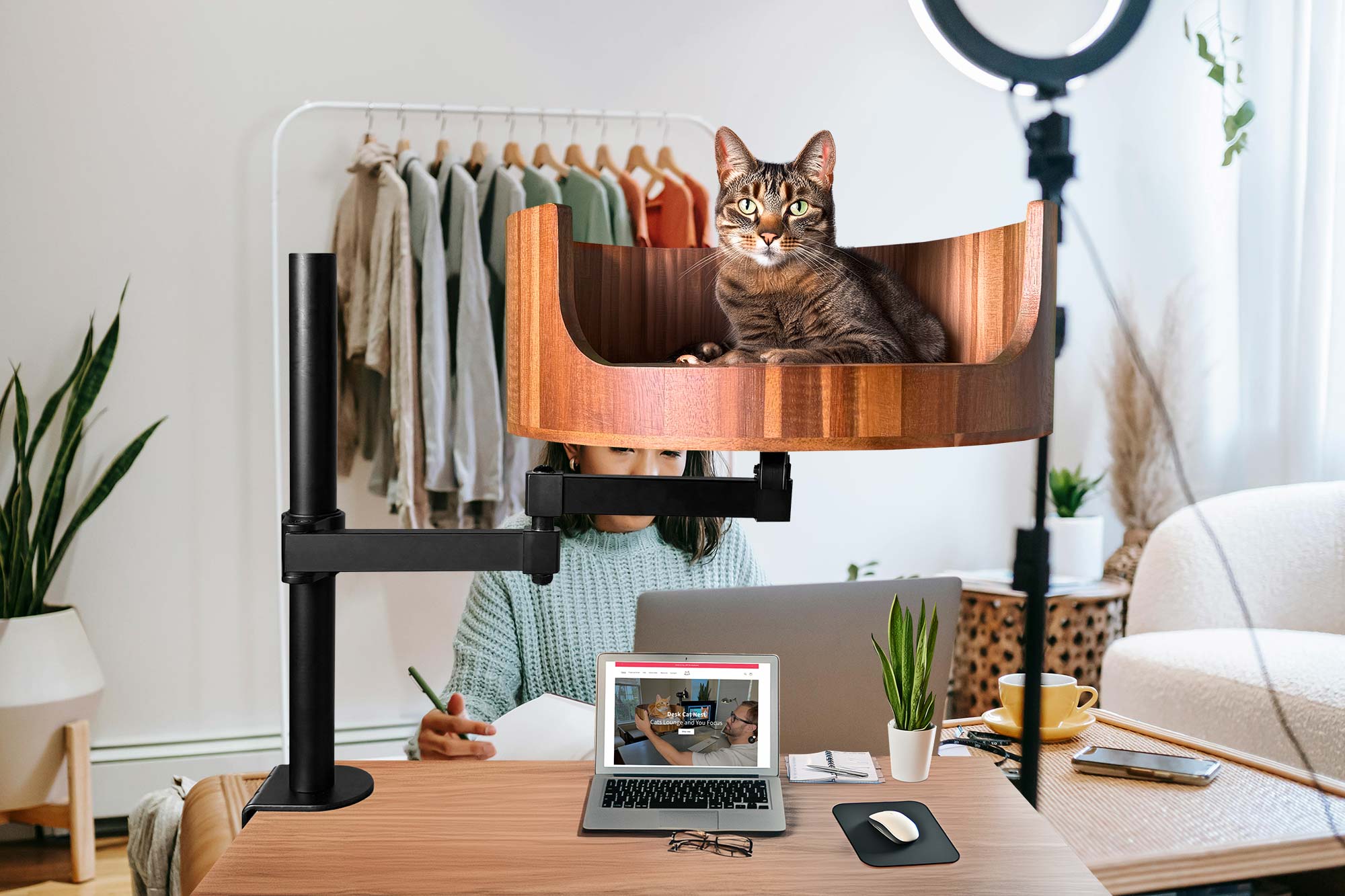 Biting My Cat: Understanding Feline Behavior and Care – Desk Cat Nest