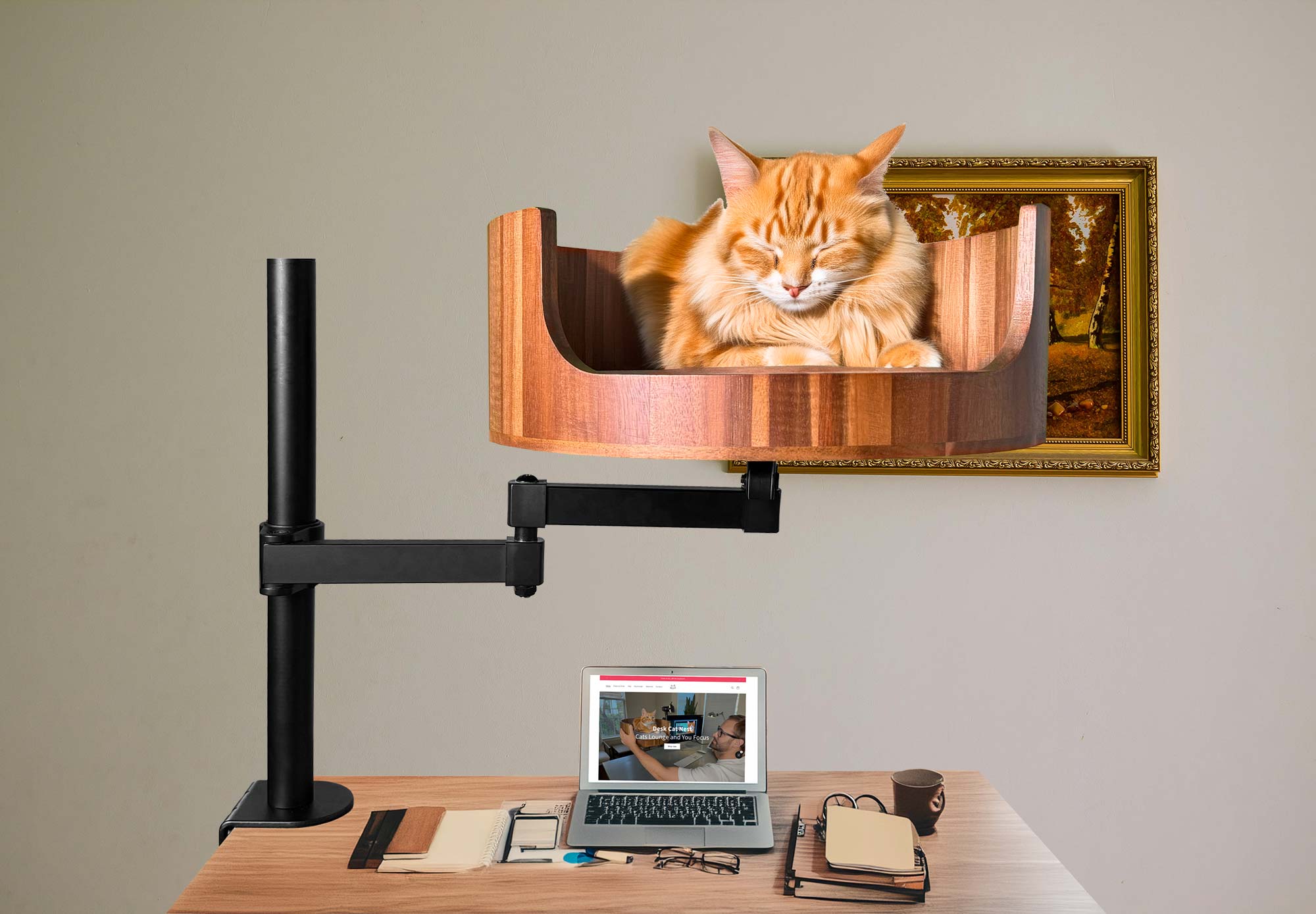 Bored Cat: Fun Activities to Engage Your Feline Friend – Desk Cat Nest