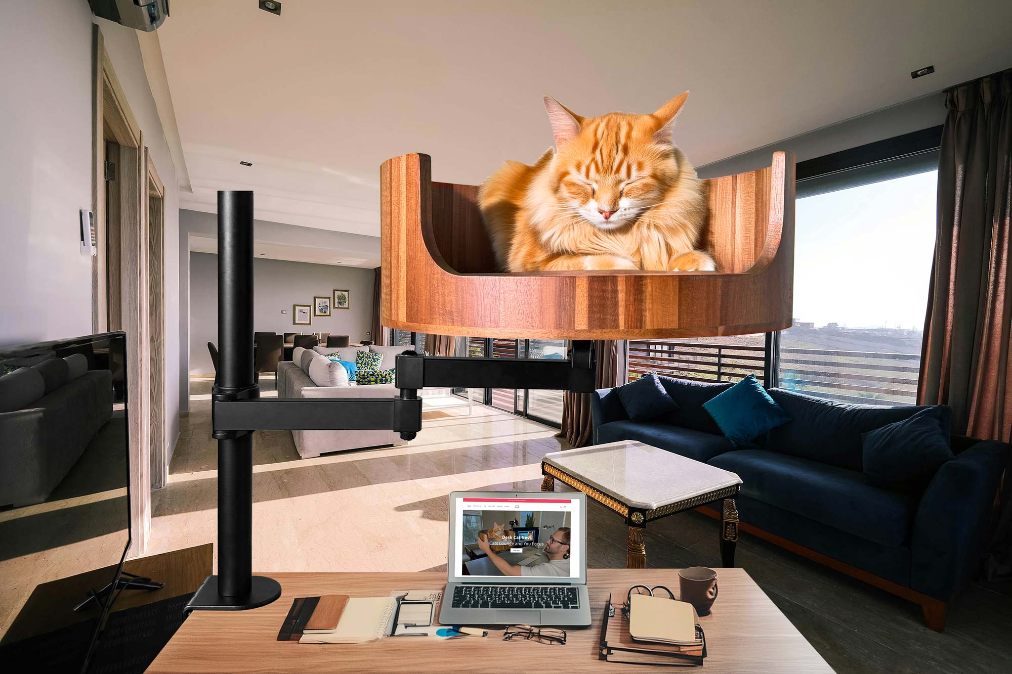 Cat Bite Hair: Understanding the Quirky Behavior – Desk Cat Nest
