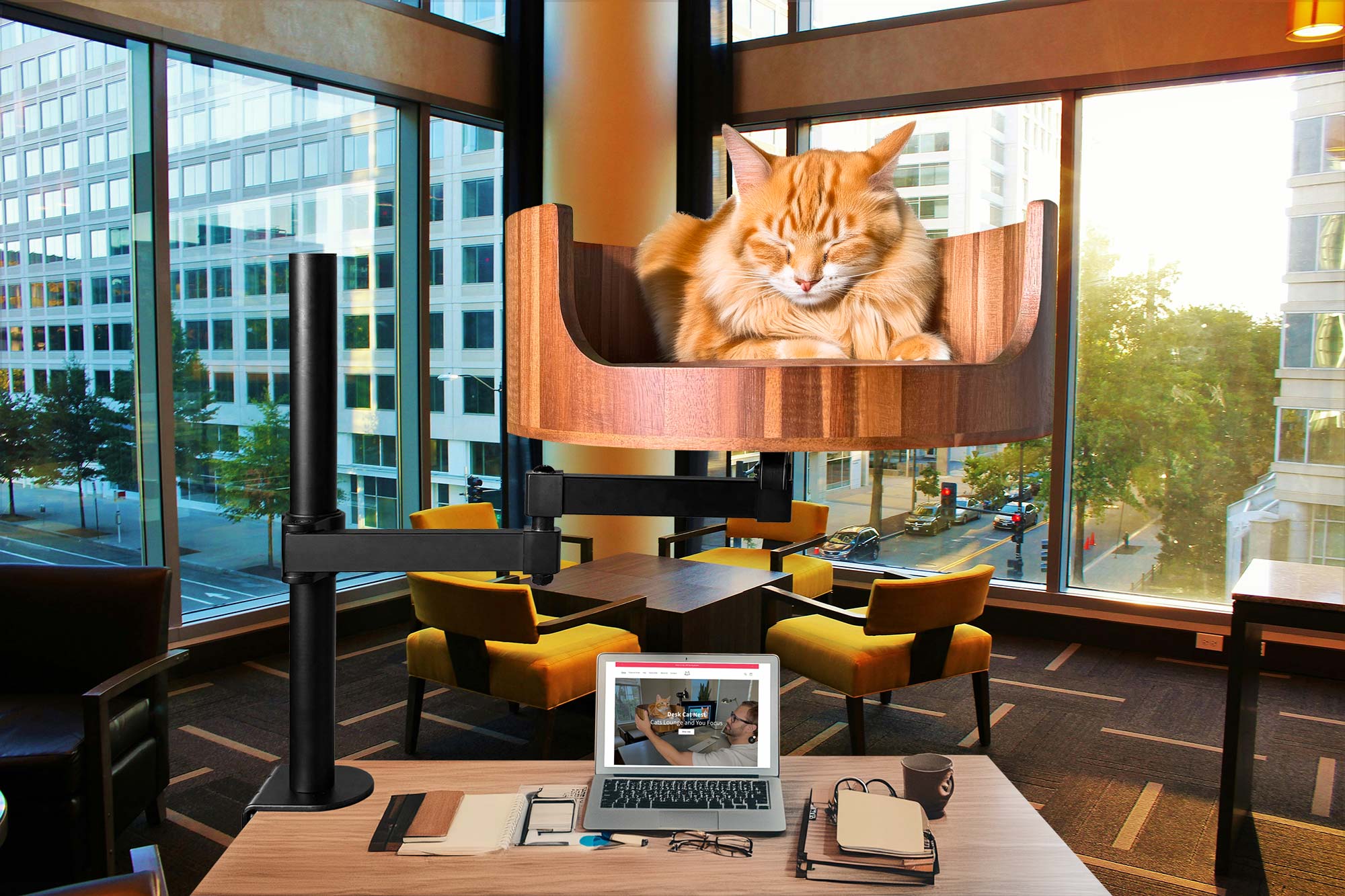 Cat Bites Feet: Understanding This Quirky Behavior – Desk Cat Nest
