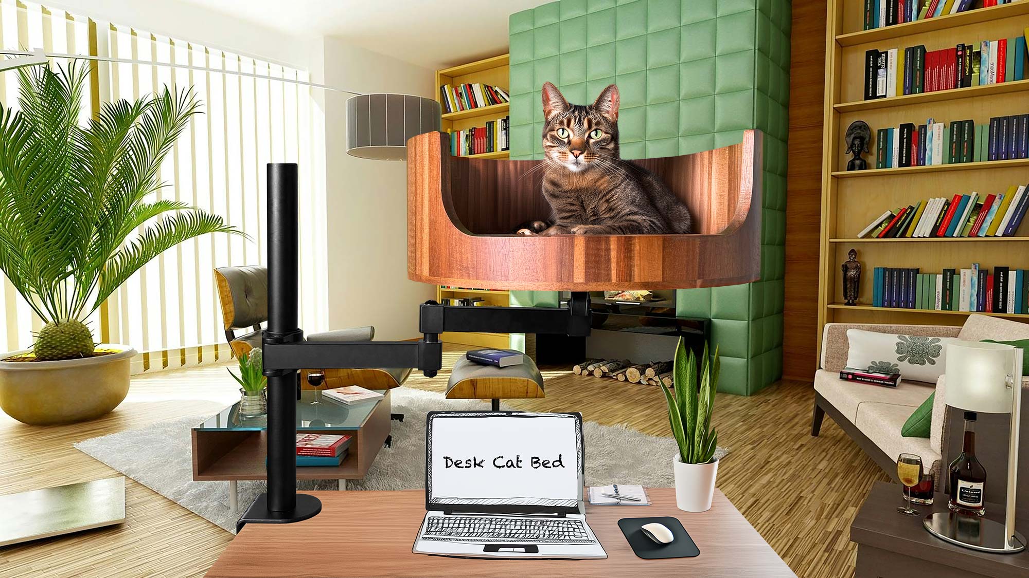 Cat Chasing Tail: A Playful Pursuit of Fun – Desk Cat Nest