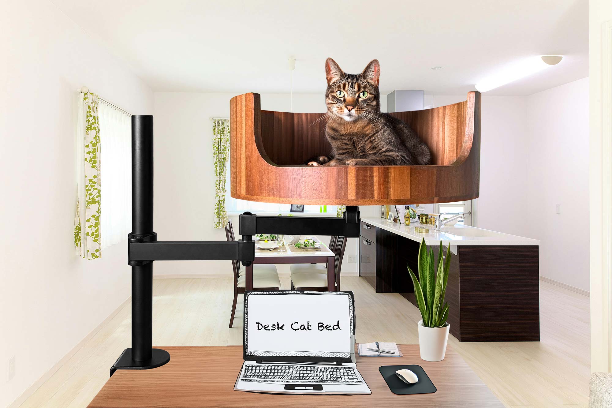 Cat Follows Me to Bathroom: A Feline's Quirky Habit – Desk Cat Nest