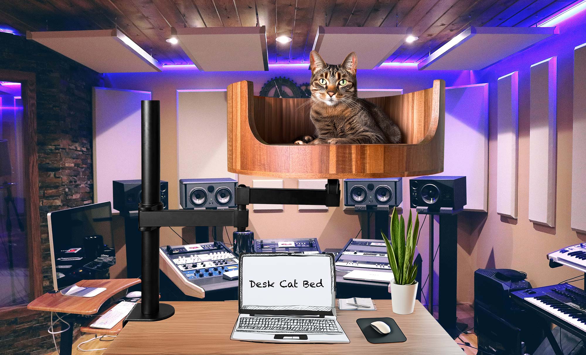 Cat Getting Eye Boogers: Causes and Solutions Explained – Desk Cat Nest