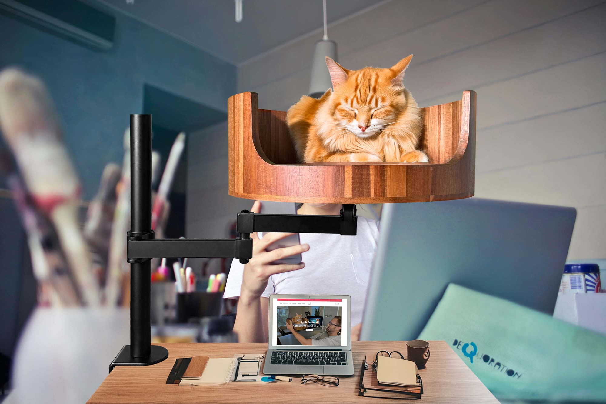 Cat Grabbing: Understanding Feline Behavior and Playfulness – Desk Cat Nest