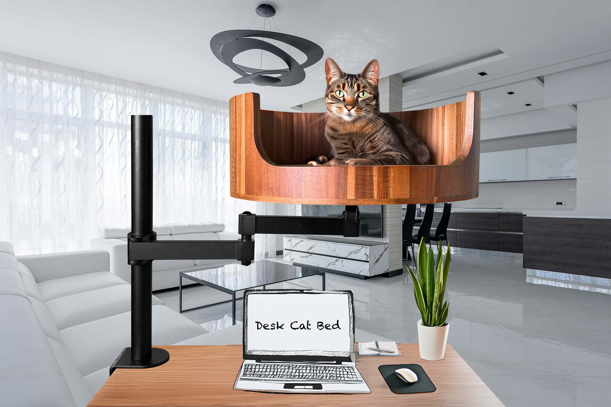 Cat Has Eye Boogers: Causes and Solutions Explained – Desk Cat Nest