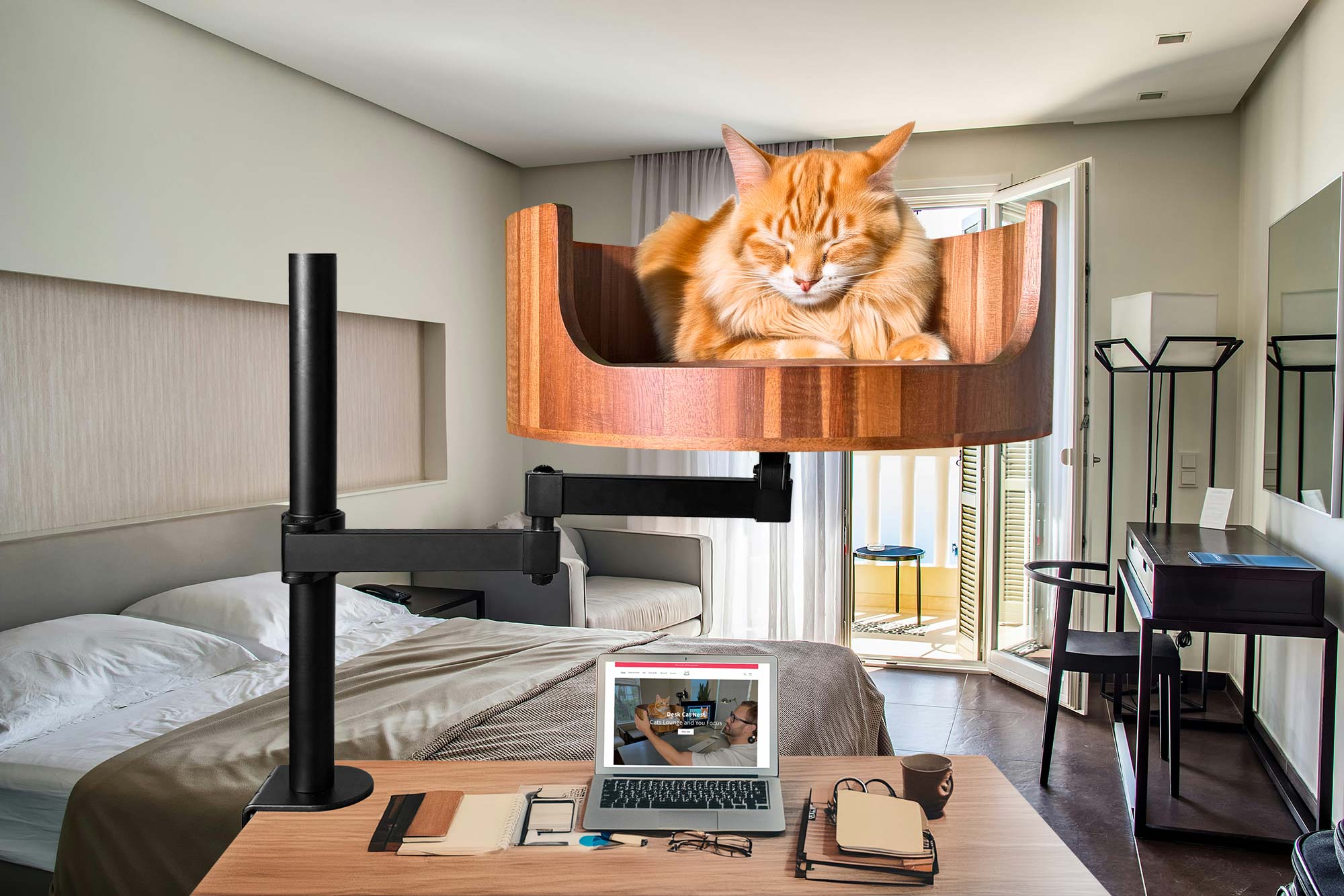 Cat Pooping on Floor: Understanding the Behavior and Solutions – Desk ...