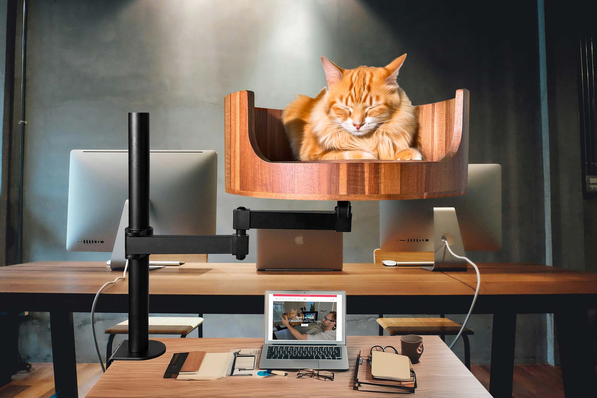 Cat Puking After Eating Dry Food: Causes and Solutions – Desk Cat Nest
