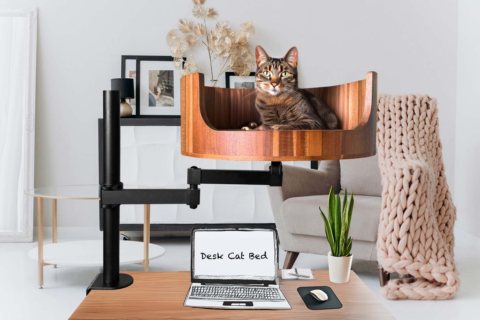 Cat Stares at Me: Understanding Feline Behavior – Desk Cat Nest