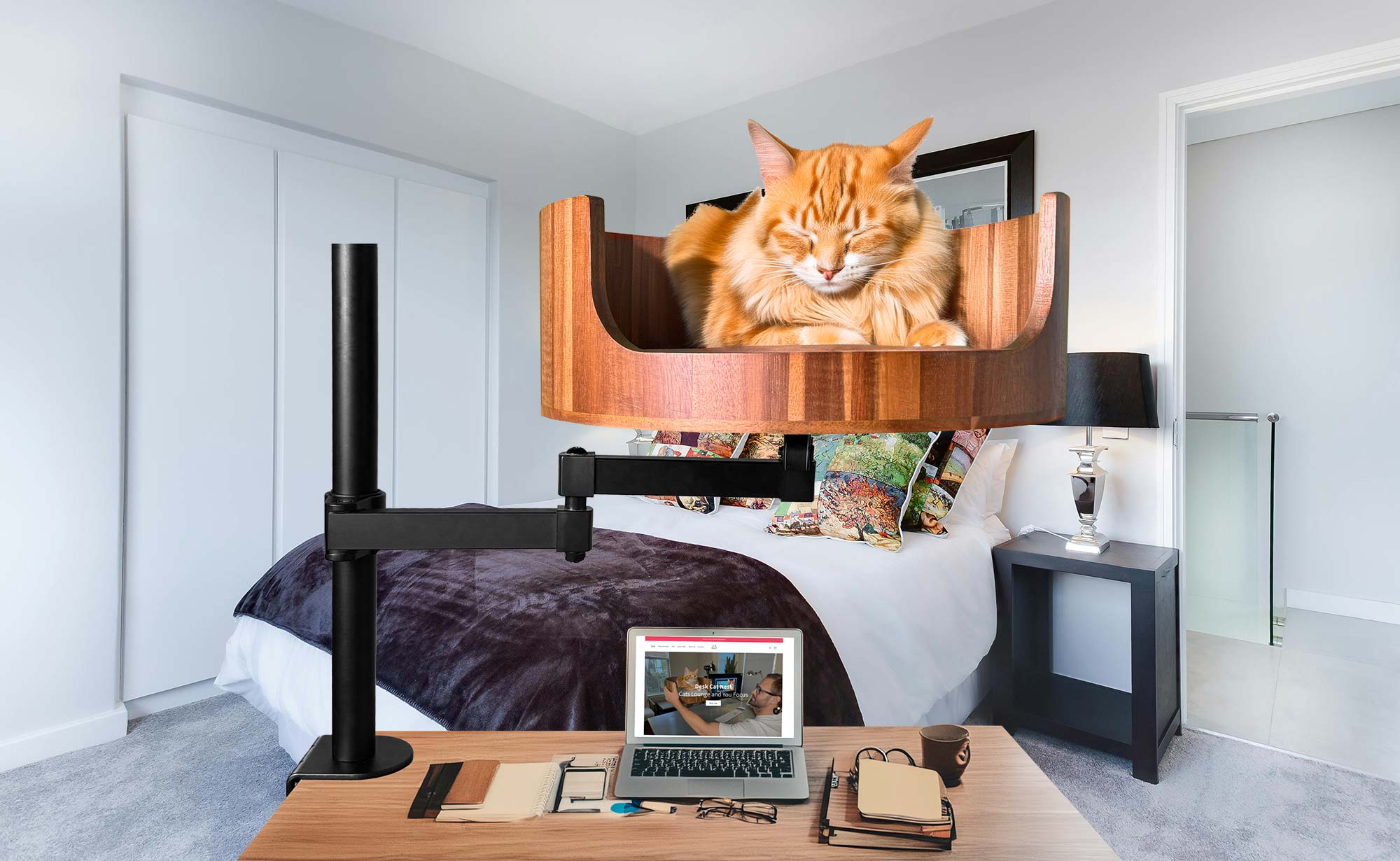 Cat Third Eyelid Showing: What You Need to Know – Desk Cat Nest