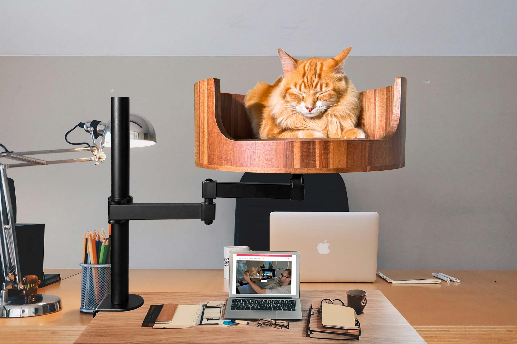 Cat Tries to Grab My Hand: A Playful Encounter – Desk Cat Nest