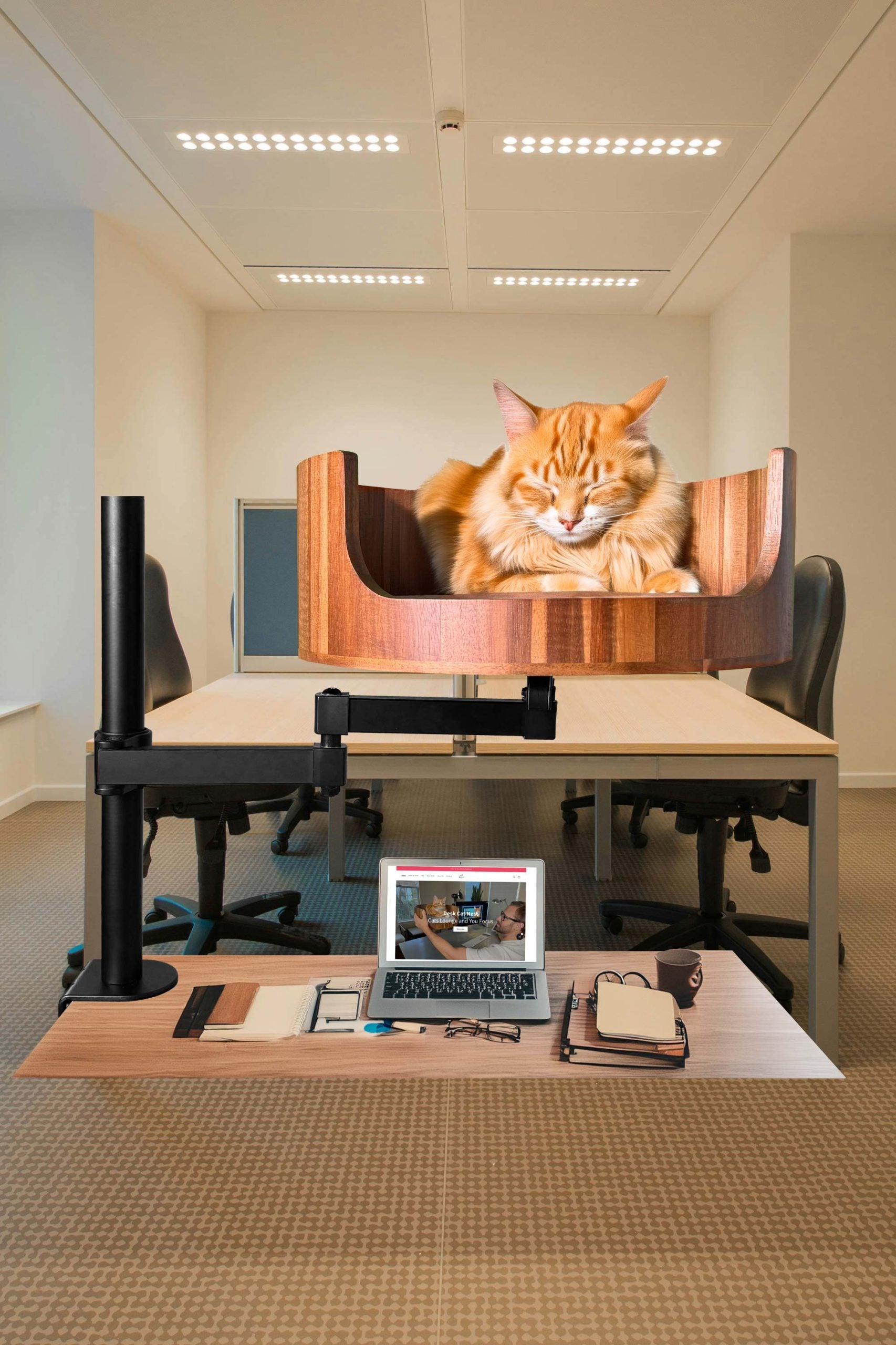 Cats Covering Food: A Feline's Quirky Behavior Explained – Desk Cat Nest