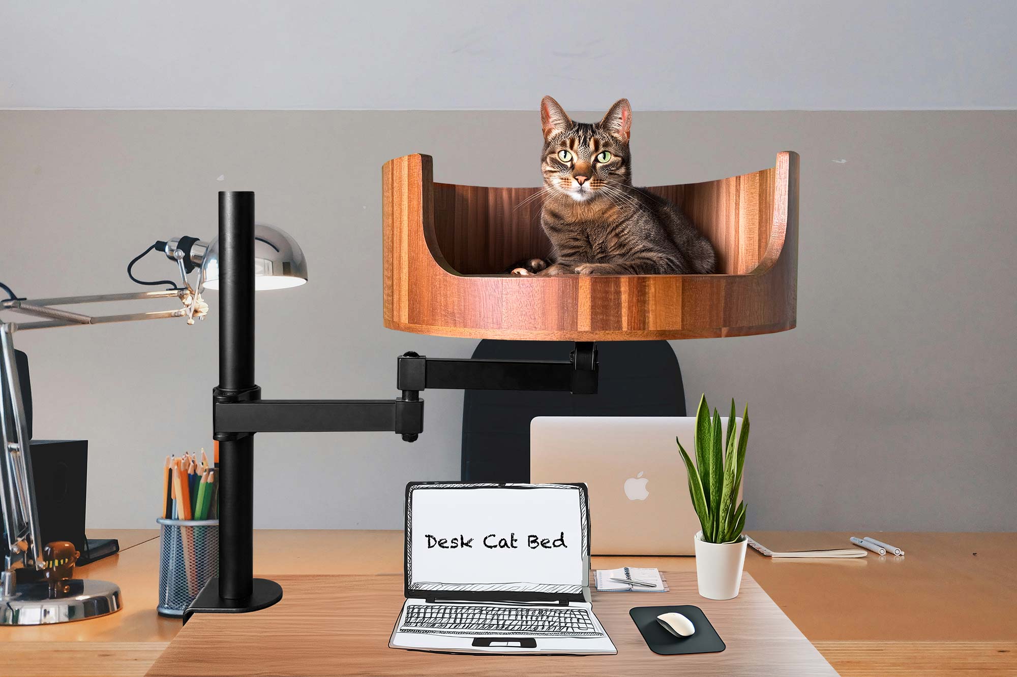 Cats Staring at Me: A Curious Feline Phenomenon – Desk Cat Nest