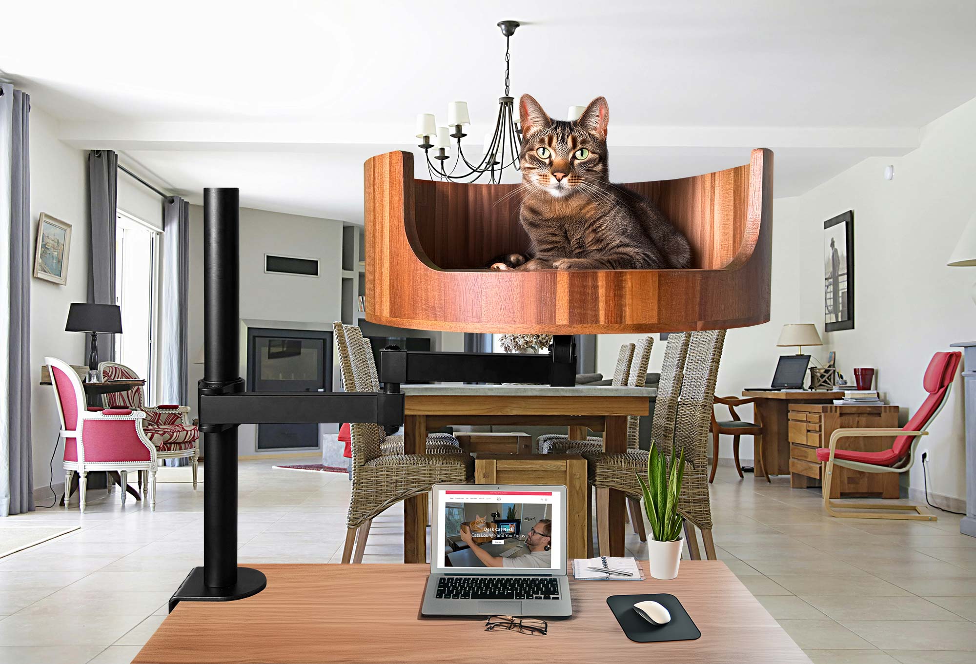 How Long Does Cat 4 Test Take: A Complete Guide – Desk Cat Nest