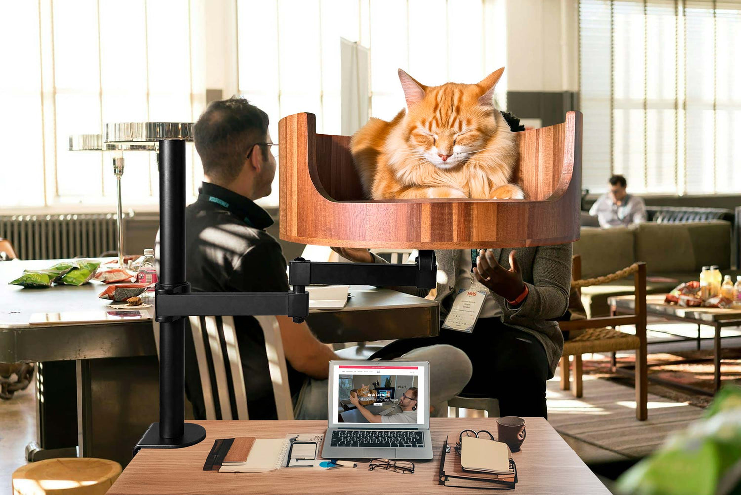 How to Get a Cat on Your Computer: A Fun Guide – Desk Cat Nest