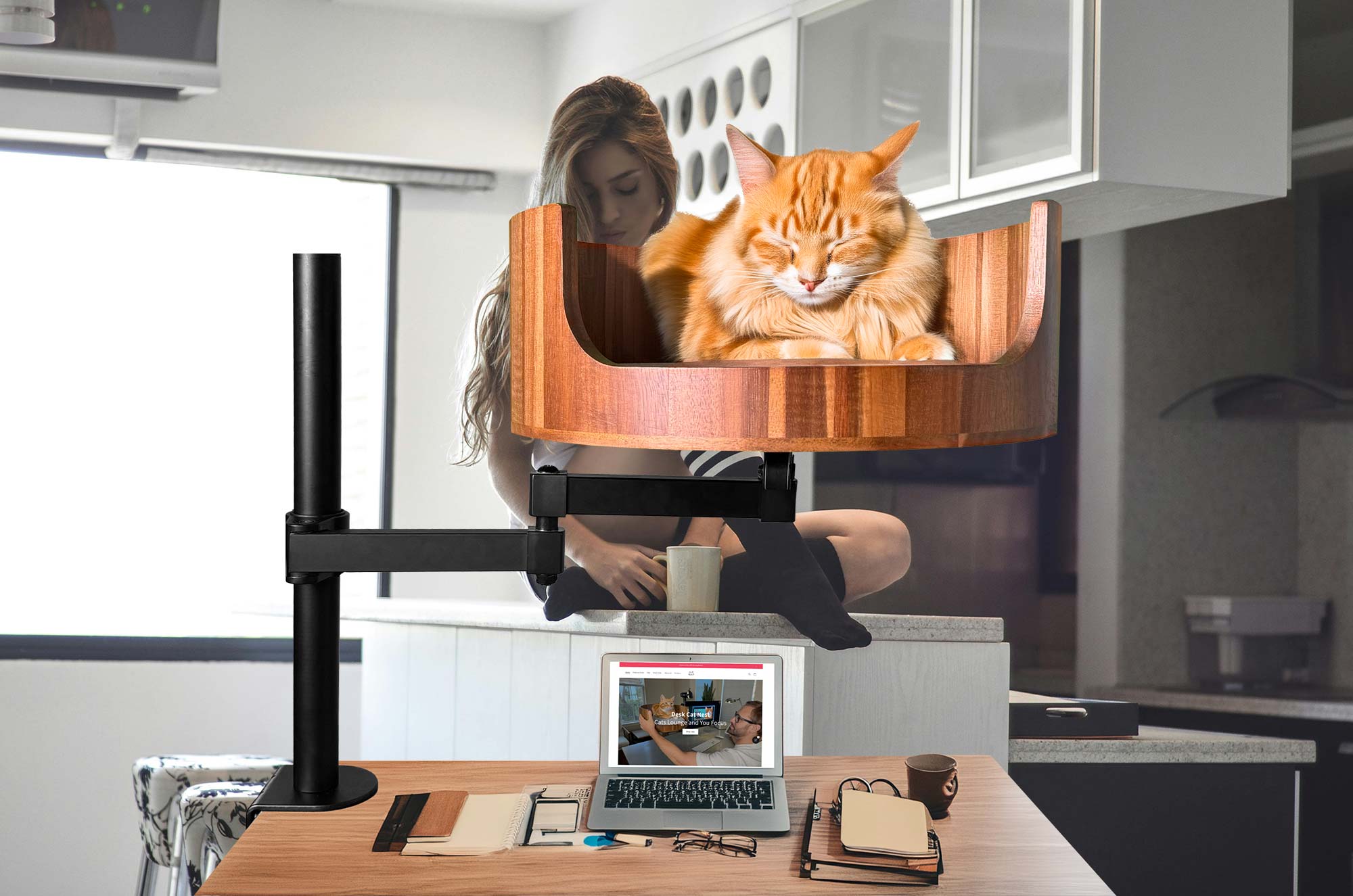 How to Register Cat as Emotional Support Animal Today – Desk Cat Nest