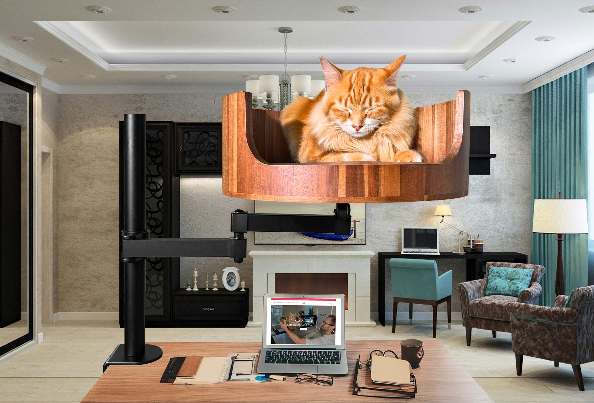 How to Tell if Cat is Happy: Signs to Look For – Desk Cat Nest