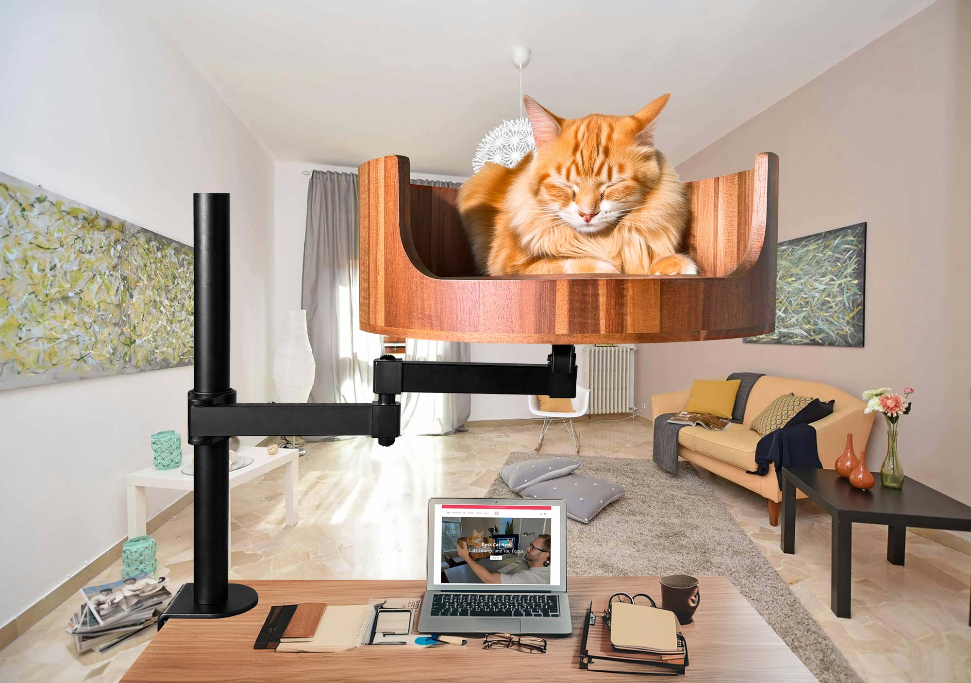 Jelly Only Cat Food: A Unique Treat for Your Feline Friend – Desk Cat Nest