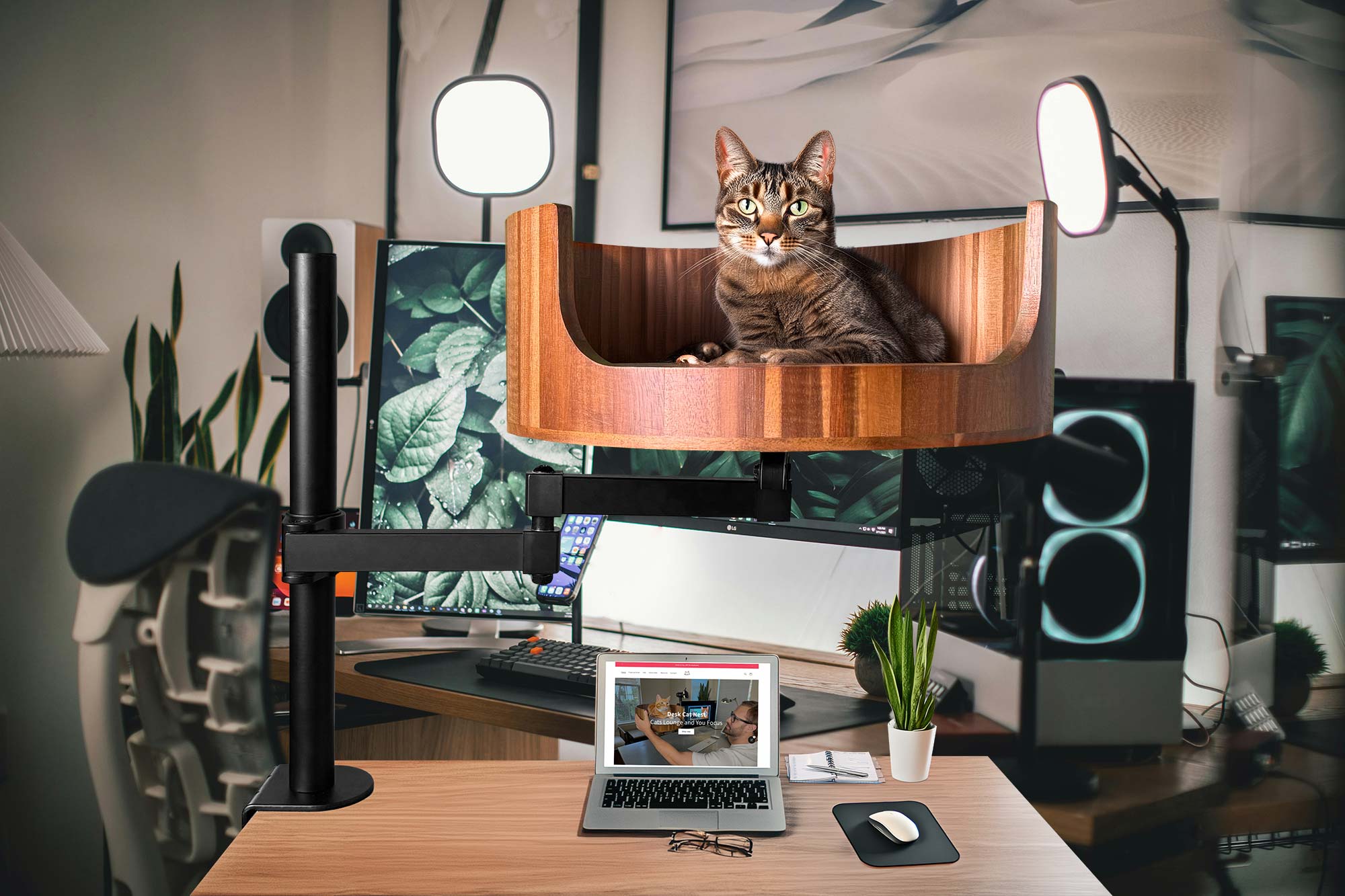 My Cat 10 Lines: A Feline's Whimsical Journey – Desk Cat Nest