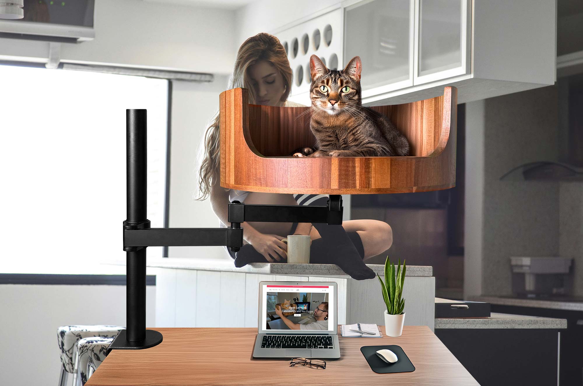 My Cat Quit Eating: Understanding the Reasons Behind It – Desk Cat Nest