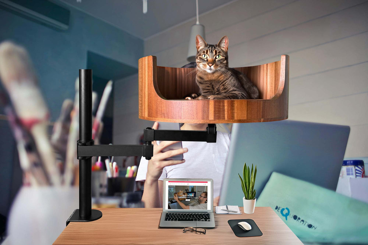 My Cat Vomit: Understanding the Causes and Solutions – Desk Cat Nest