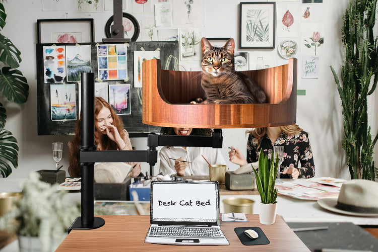 Temu Cat Bed: The Ultimate Comfort for Your Feline Friend – Desk Cat Nest