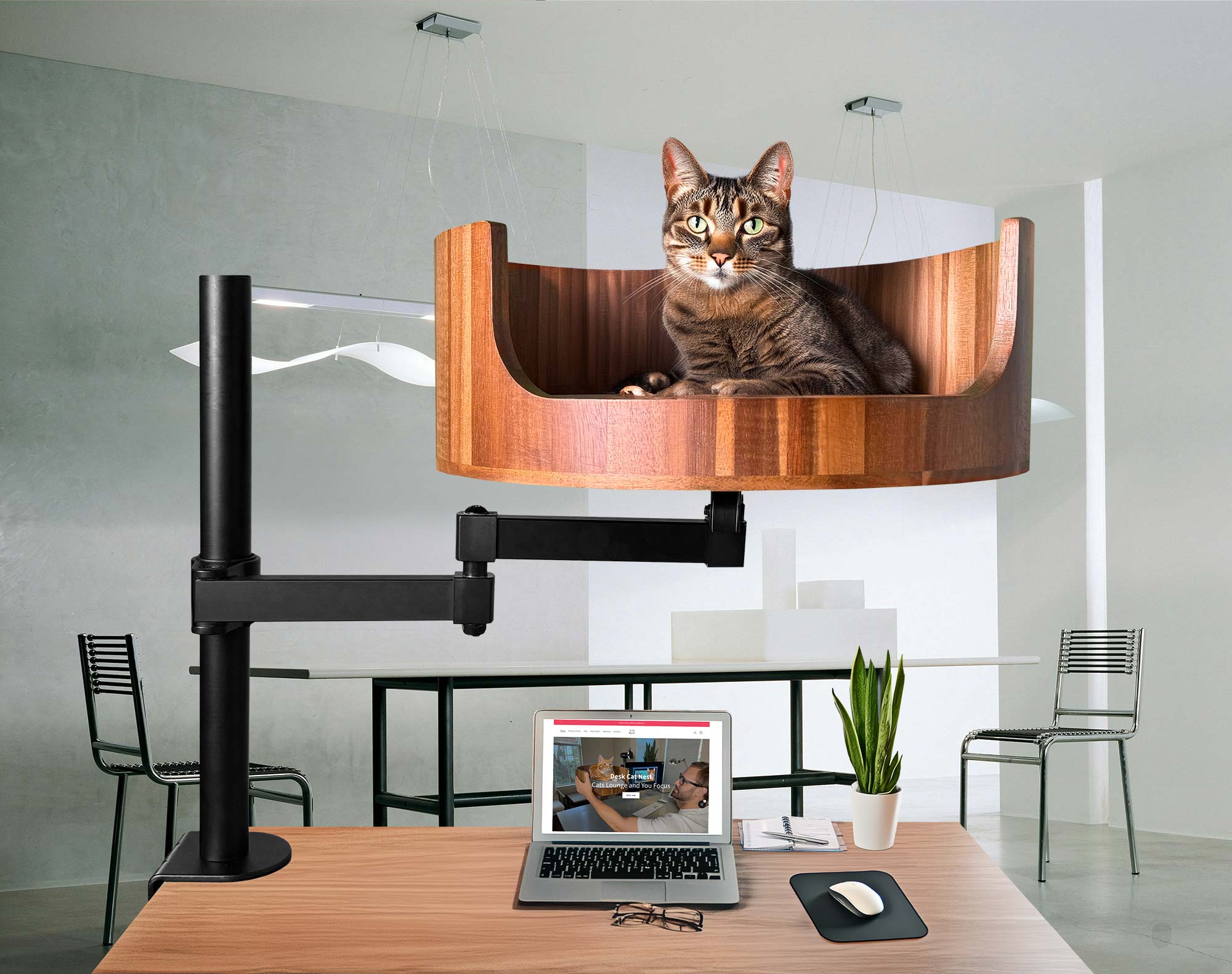 Too Dark Can't Find My Cat: Tips for Nighttime Safety – Desk Cat Nest