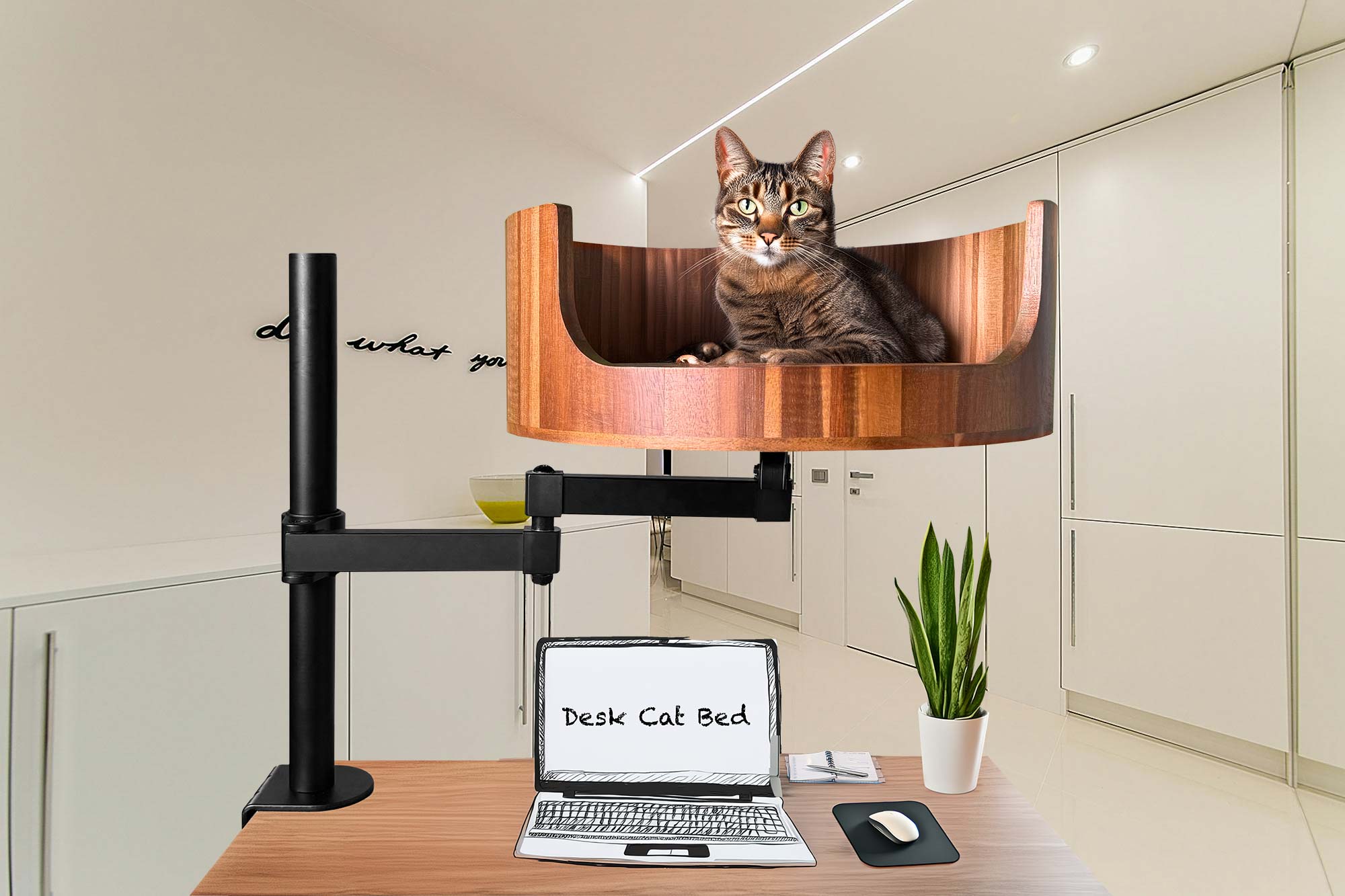 Why Do Cats Lick Then Bite: Understanding Feline Behavior – Desk Cat Nest
