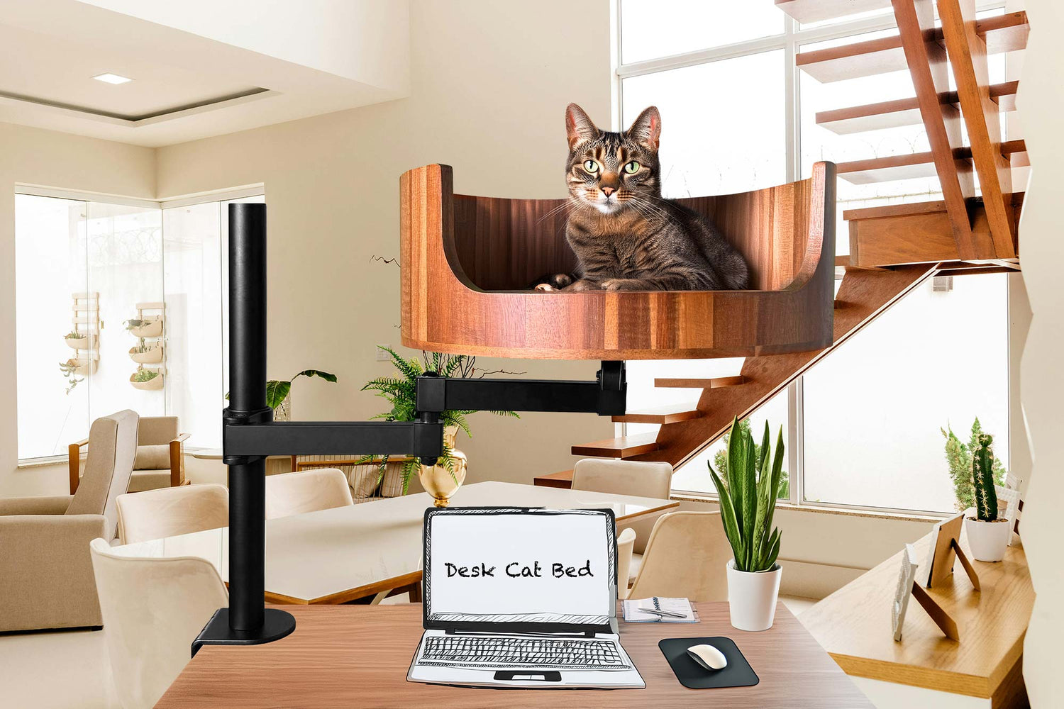 Why Do Cats Nibble You: Understanding Feline Behavior – Desk Cat Nest