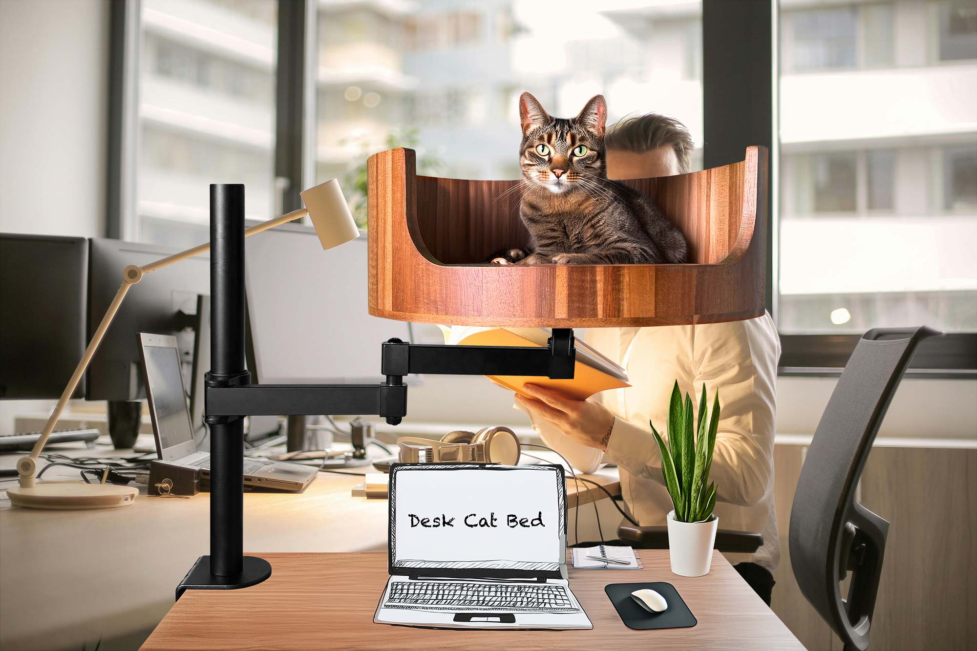Why Do Cats Quiver Their Tails: Understanding Feline Behavior – Desk ...