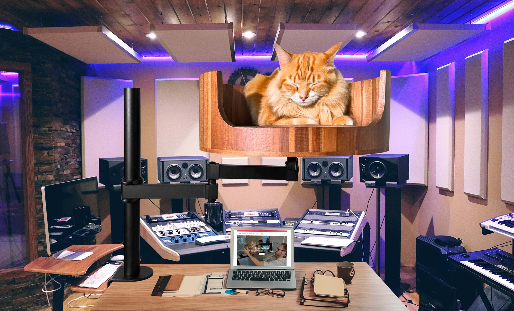 Why Does Cat Cry at Night: Understanding Feline Behavior – Desk Cat Nest