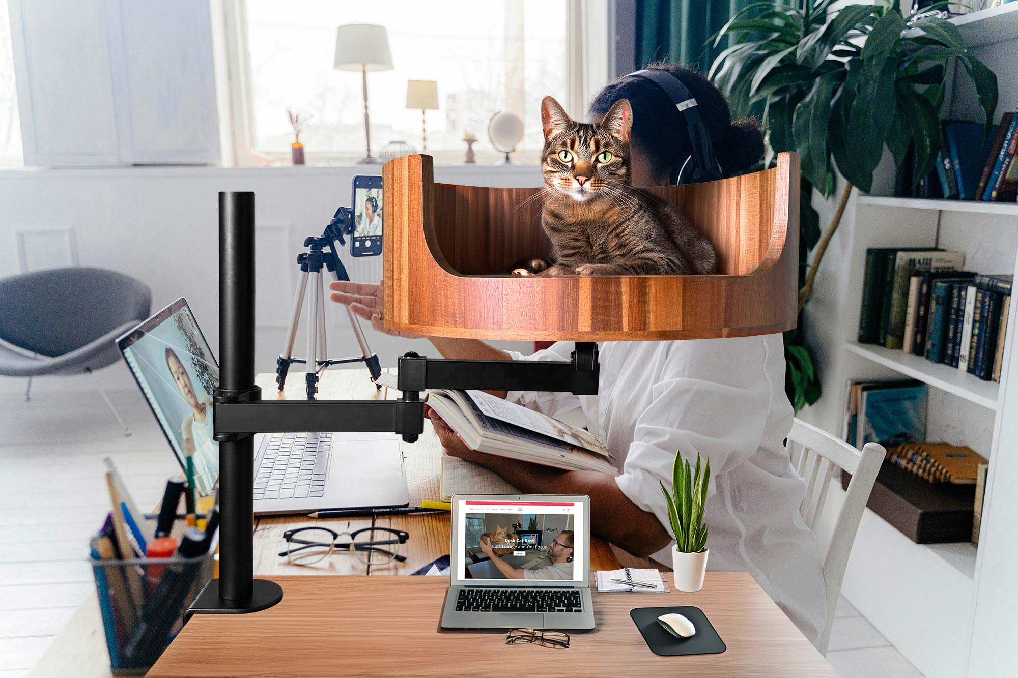 Why Does My 8 Month Old Cat Keep Biting Me? – Desk Cat Nest