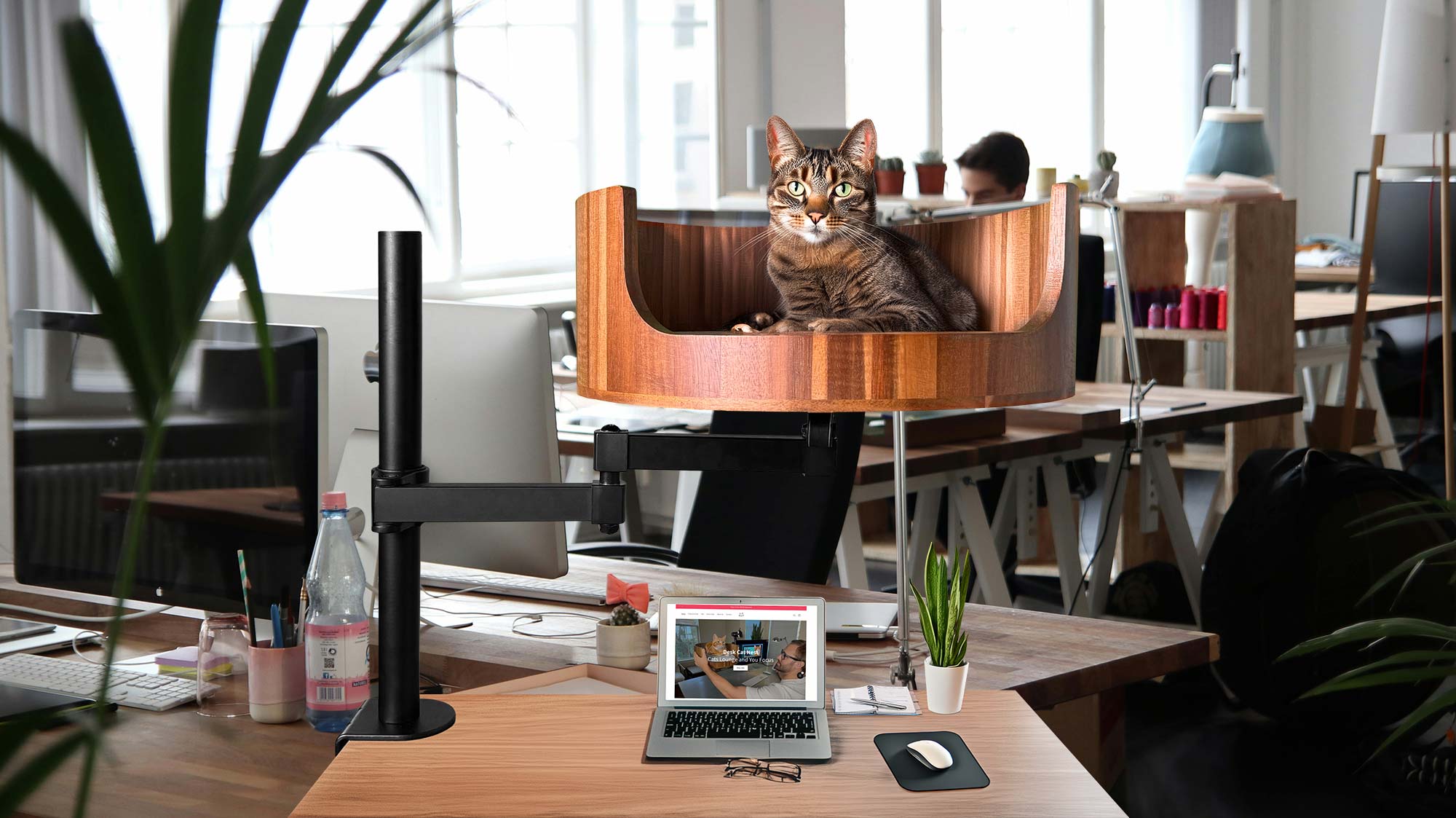 Why Does My Cat Keep Waking Me Up at 4am? – Desk Cat Nest