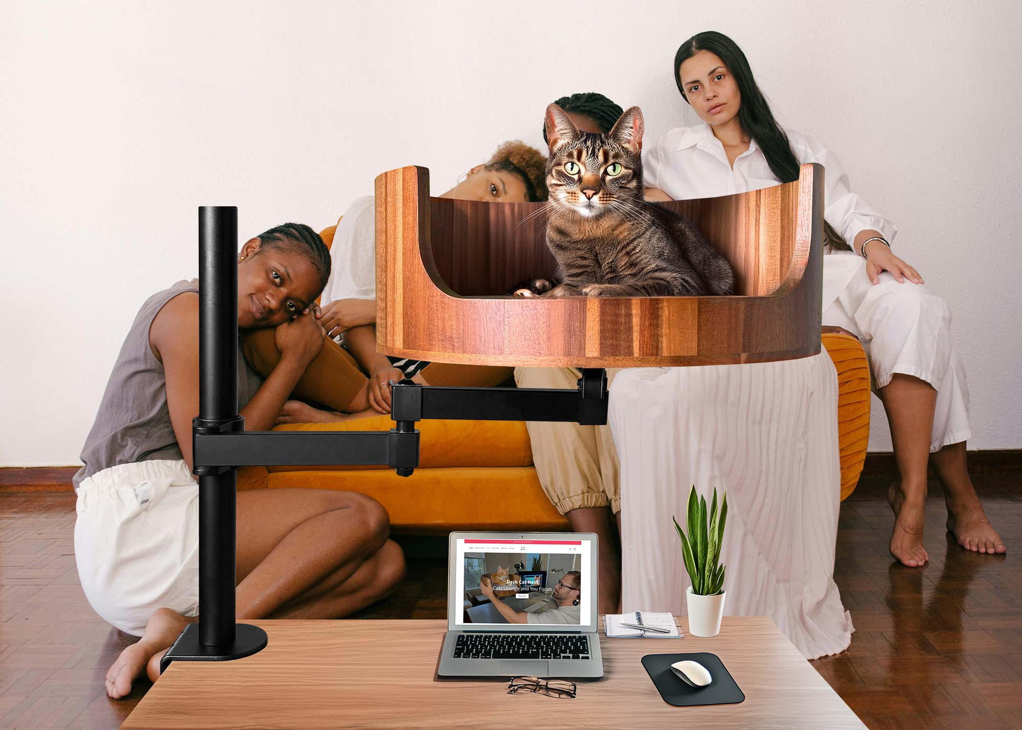 Why Does My Cat Zig Zag in Front of Me? Explained! – Desk Cat Nest