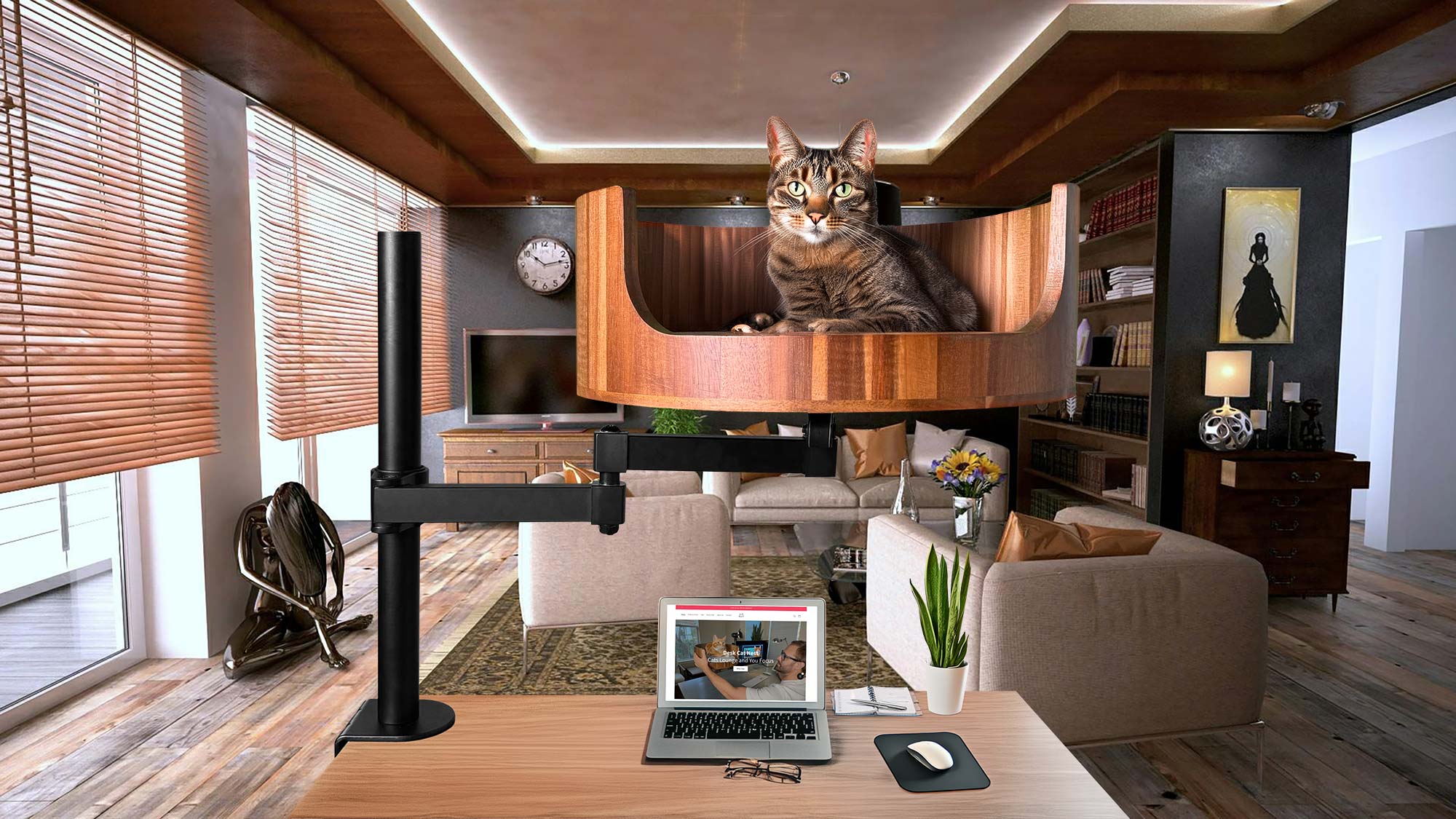 Why Does My Cat Zoom? Understanding Feline Energy Spikes – Desk Cat Nest