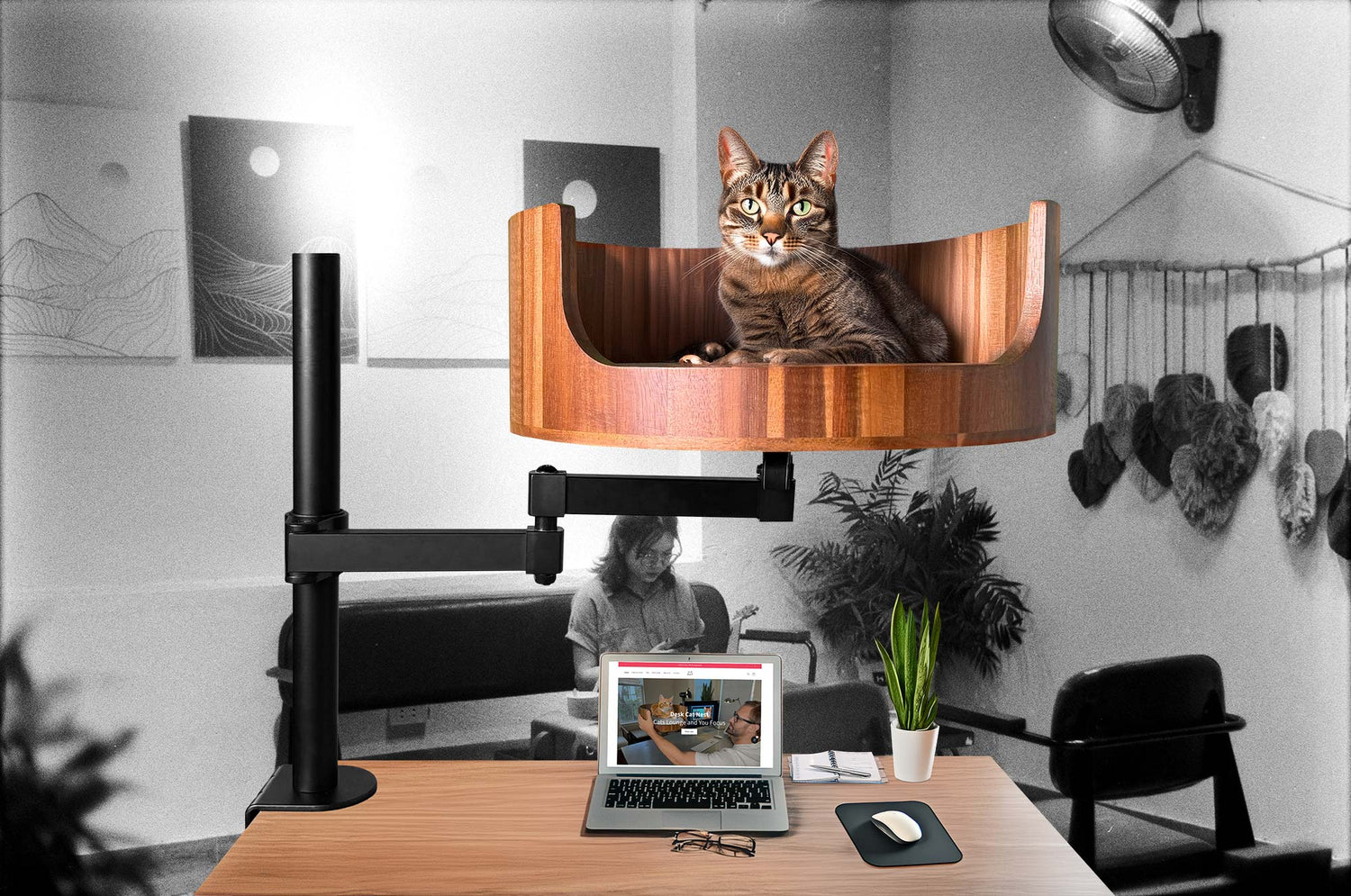 Why is my cat tipping over? Understanding the behavior. – Desk Cat Nest