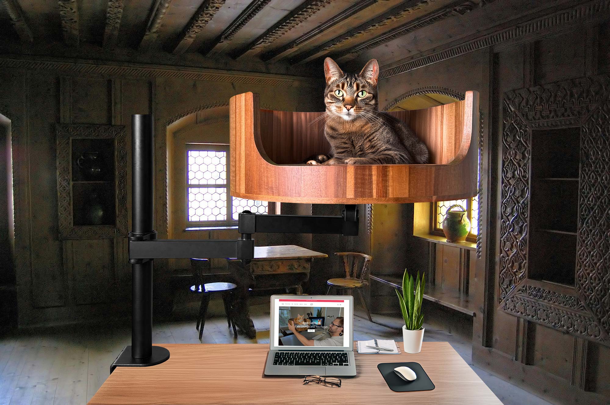 Will Cat 8 Work With My Router? Here's What You Need to Know – Desk Cat ...