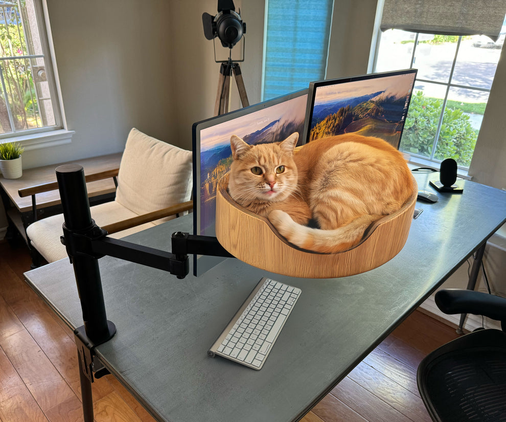 Desk Cat Nest - Best Desktop Cat Bed