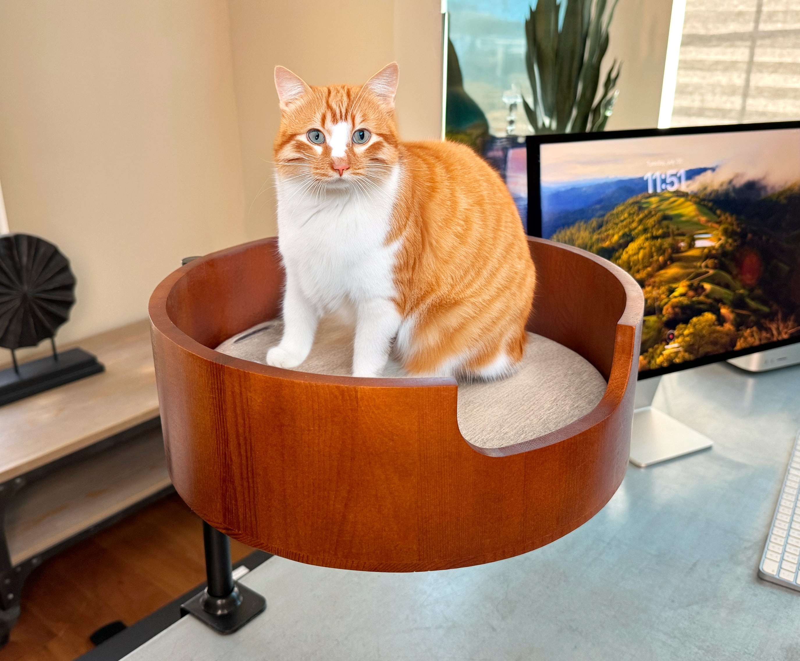 Desk Cat Nest - Best Desktop Cat Bed