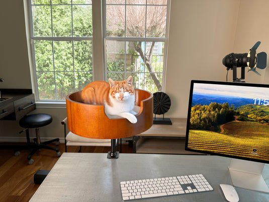Desk Cat Nest - Best Desktop Cat Bed