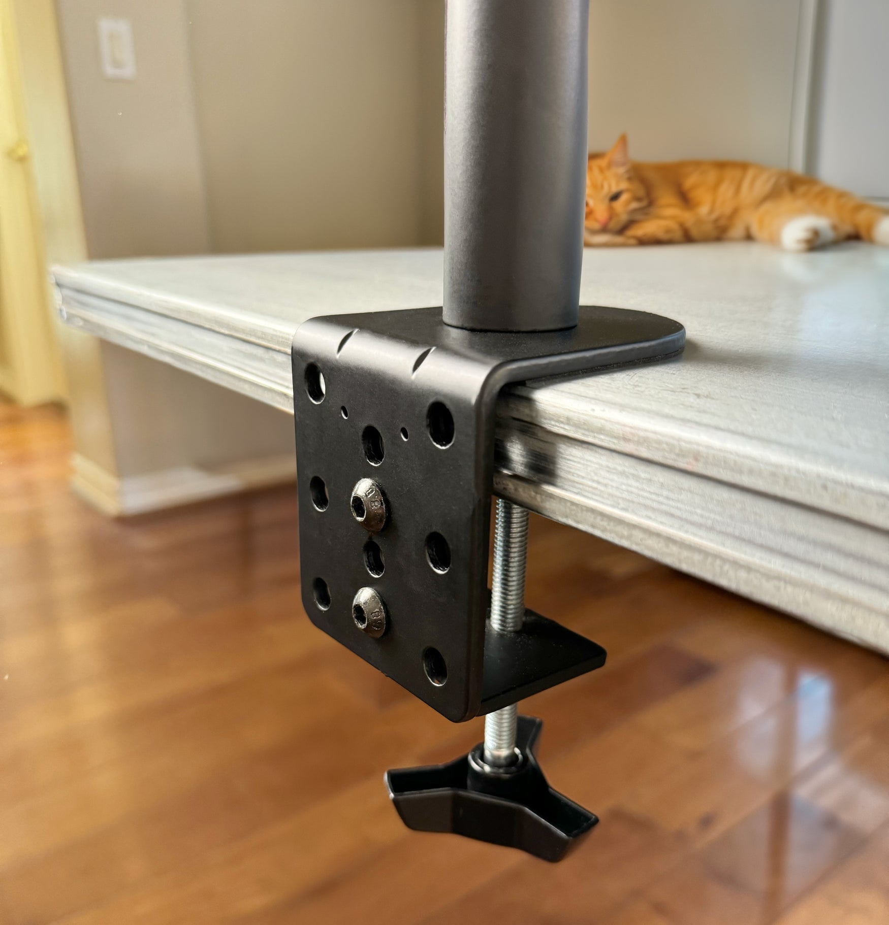 Desk Cat Nest - Best Desktop Cat Bed