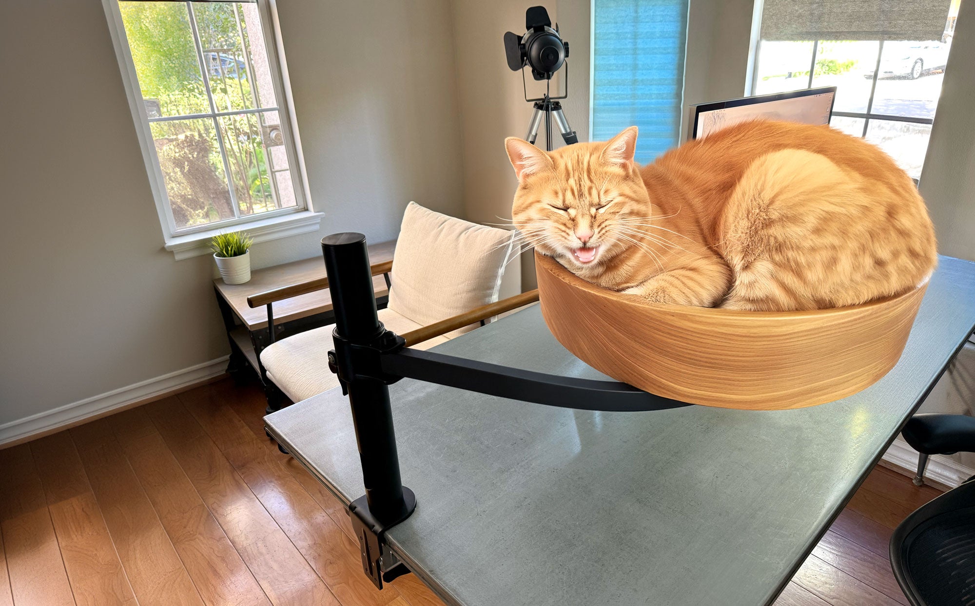Desk Cat Nest - Best Desktop Cat Bed